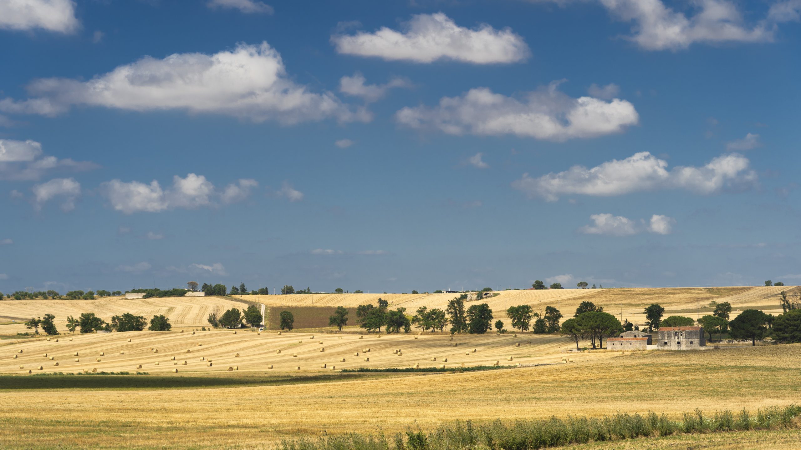 Fully escorted 7-day tour of Apulia, The Heel of Italy - Let's Holiday